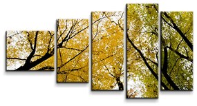 Sablio Obraz - 5-dílný Koruny stromů - 100x60 cm