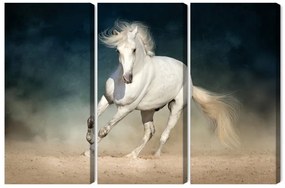 Vícedílný obraz Bílý Kůň Ve Cvalu Nedostatek Nedostatek Přírodní plátno 150x100