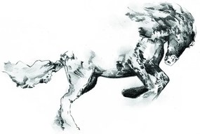 Obraz Kůň Jak Načrtnut Nedostatek Nedostatek Plátno Canvas 30x20
