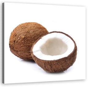 Obraz na plátně, Kokosové ovoce - 40x40 cm