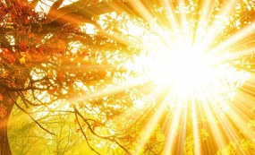 Malvis ® Obraz - Podzimní slunce Velikost: 100x50 cm