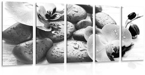 5-dílný obraz krásná souhra kamenů a orchideje v černobílém provedení