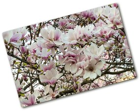 Wallmuralia Deska na krájení skleněná Květy magnolie 80x52 cm