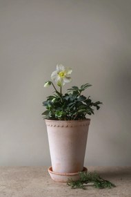 Malý květináč Helena vysoký s podstavcem 14 cm růžový