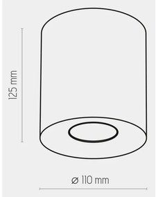 Bodové svítidlo ORION 1xGU10/10W/230V bílá