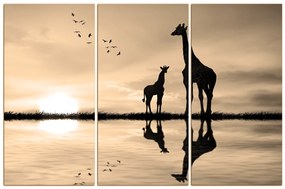 Obraz na plátně - Žirafy silueta 1919FB (105x70 cm)