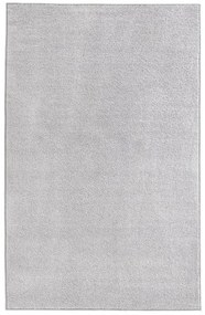 Hans Home | Kusový koberec Pure 102615 Grau, šedá