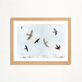 Andrea Tachezy | Rorýsi Rám: Dubový, Velikost: 30 x 40 cm