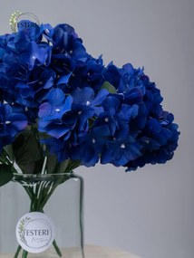 Hortenze tmavě-modrý květ