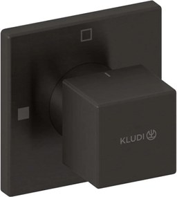 Kludi Decus - Ventil pod omítku, pro 2 spotřebiče, broušený Gunmetal 54847N275