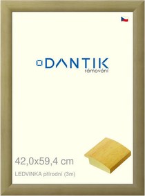 DANTIK rámeček 42x59,4 | LEDVINKA přírodní (Plexi Čiré)