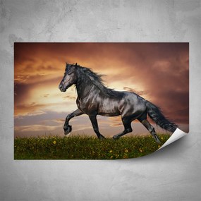 Plakát - Hnědý kůň (60x40 cm) - PopyDesign
