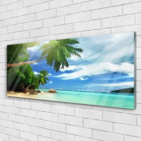 akrylový obraz Palma Pláž Moře Krajina 125x50 cm