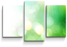 Sablio Obraz - 3-dílný Zelená abstrakce - 75x50 cm