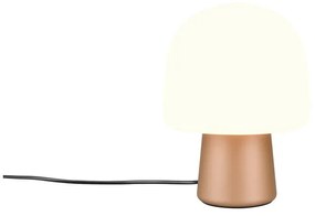 Stolní lampa v bílo-bronzové barvě se skleněným stínidlem (výška 27 cm) Steen – Trio