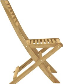 vidaXL Skládací zahradní židle 2 ks 48,5 x 61,5 x 87 cm masivní akácie [365739]