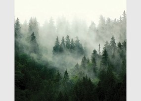 Vliesová fototapeta na zed' Lesní Mlha | 300 x 270 cm | DFT4P5703