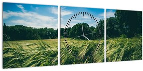 Obraz louky a lesa (s hodinami) (90x30 cm)
