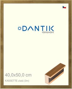 DANTIK rámeček 40x50 | KASSETTE zlatá (Sklo Čiré)