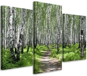 Gario Obraz na plátně Březový les - 3 dílný Rozměry: 60 x 40 cm