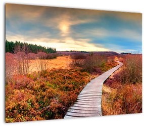 Skleněný obraz - Podzimní cesta krajinou (70x50 cm)