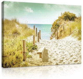 Postershop Obraz na plátně: Cesta na pláž (9) - 75x100 cm