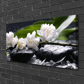 Obraz na plátně Květ Kameny 140x70 cm