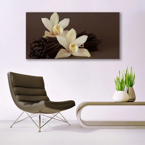 Plexisklo-obraz Květy Vanilky do Kuchyně 120x60 cm
