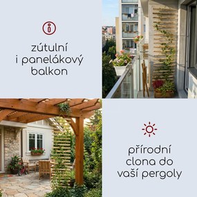 Vingo Závěsná opora pro popínavé rostliny - treláž/žebřík, 100 x 200 cm