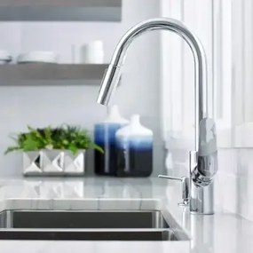 Hansgrohe - Dřezová baterie s výsuvnou sprškou, chrom