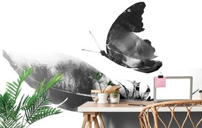 Samolepící tapeta pírko s motýlem v černobílém - 375x250 cm