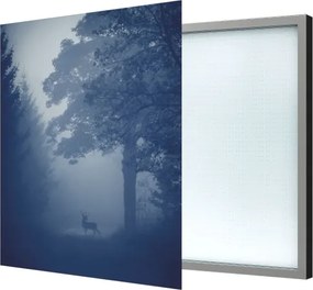 Led Podsvícený Obraz Jelen rámeček stříbrný Elegance Slim 30x40 cm napájecí adaptér