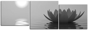 Obraz na plátně - Zen lotus - panoráma 5167QD (90x30 cm)