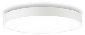 Ideal Lux Stropní svítidlo HALO PL D60 3000K