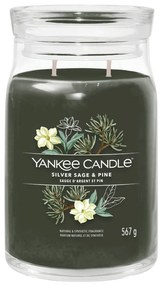 Yankee Candle Signature svíčka velká Silver Sage & Pine, 567g