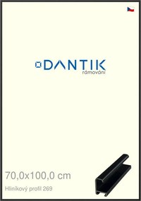 DANTIK rámeček 70x100 | ALU profil 7269 Černá matná (Plexi Čiré)