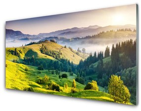 Obraz na skle Hora Pole Mlha Příroda 125x50 cm