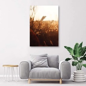 Gario Obraz na plátně Louka na slunci Rozměry: 40 x 60 cm