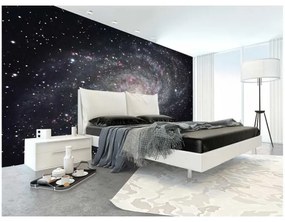 DIMEX | Samolepicí vliesová fototapeta na zeď Galaxie MA-5-0189 | 375 x 250 cm | černá, šedá, růžová