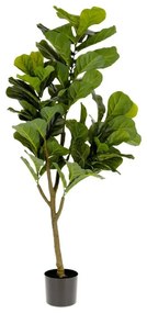Umělá květina Kave Home Ficus 150 cm