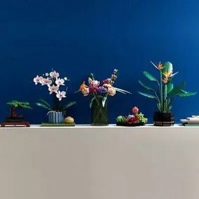 LEGO® Botanicals 10309 Sukulenty / Počet dílků: 771 / od 18 let