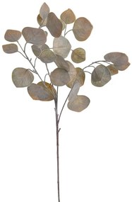 Větvička eukalyptus 70 cm šedozelená/okrová