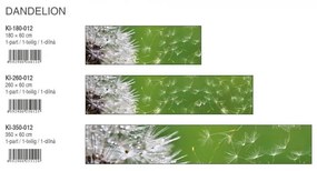 DIMEX | Fototapeta do kuchyně Pampeliška KI-180-012 | 180 x 60 cm | zelená, bílá, hnědá