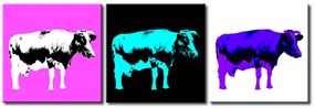 Obraz Krávy - pop art