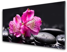 Obraz na skle Květiny Kameny Zen Lázně 120x60 cm