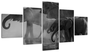 Obraz slonů - černobílý (125x70 cm)