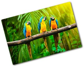 Wallmuralia Kuchyňská deska skleněná Papoušci na větvi 80x52 cm