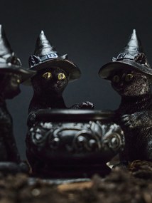 Sinsay - Halloweenový svícen na čajovou svíčku ve tvaru koček s kotlíkem - černá