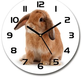 Wallmuralia Skleněné hodiny kulaté Červený králík fi 30 cm