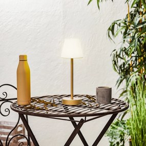 Stolní lampa mosazná vč. LED dobíjecí s dotykovým stmívačem - Renata